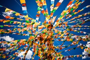 Riding on the Wind: The Culture of Windhorse - The Chronicles of ...