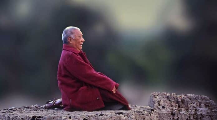 The Chronicles of Chögyam Trungpa Rinpoche